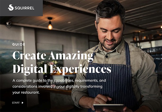 Digital Playbook – Creating Amazing Digital Experiences : Squirrel Systems